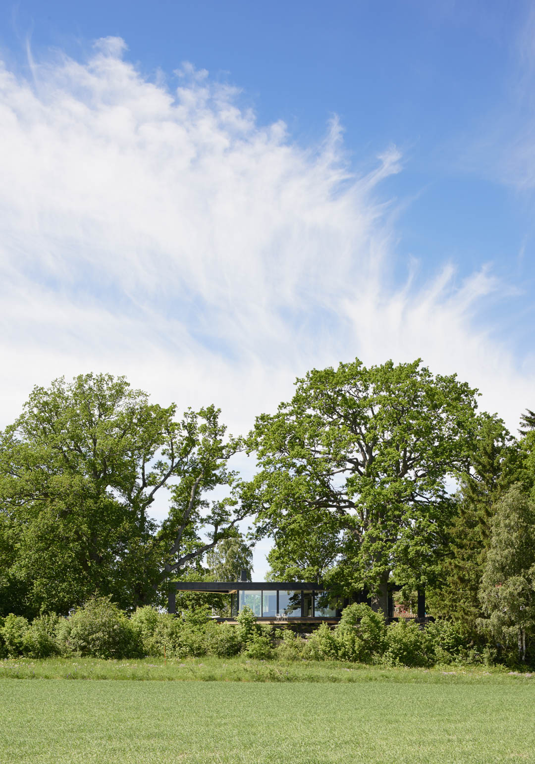 Projekt | Villa Delta